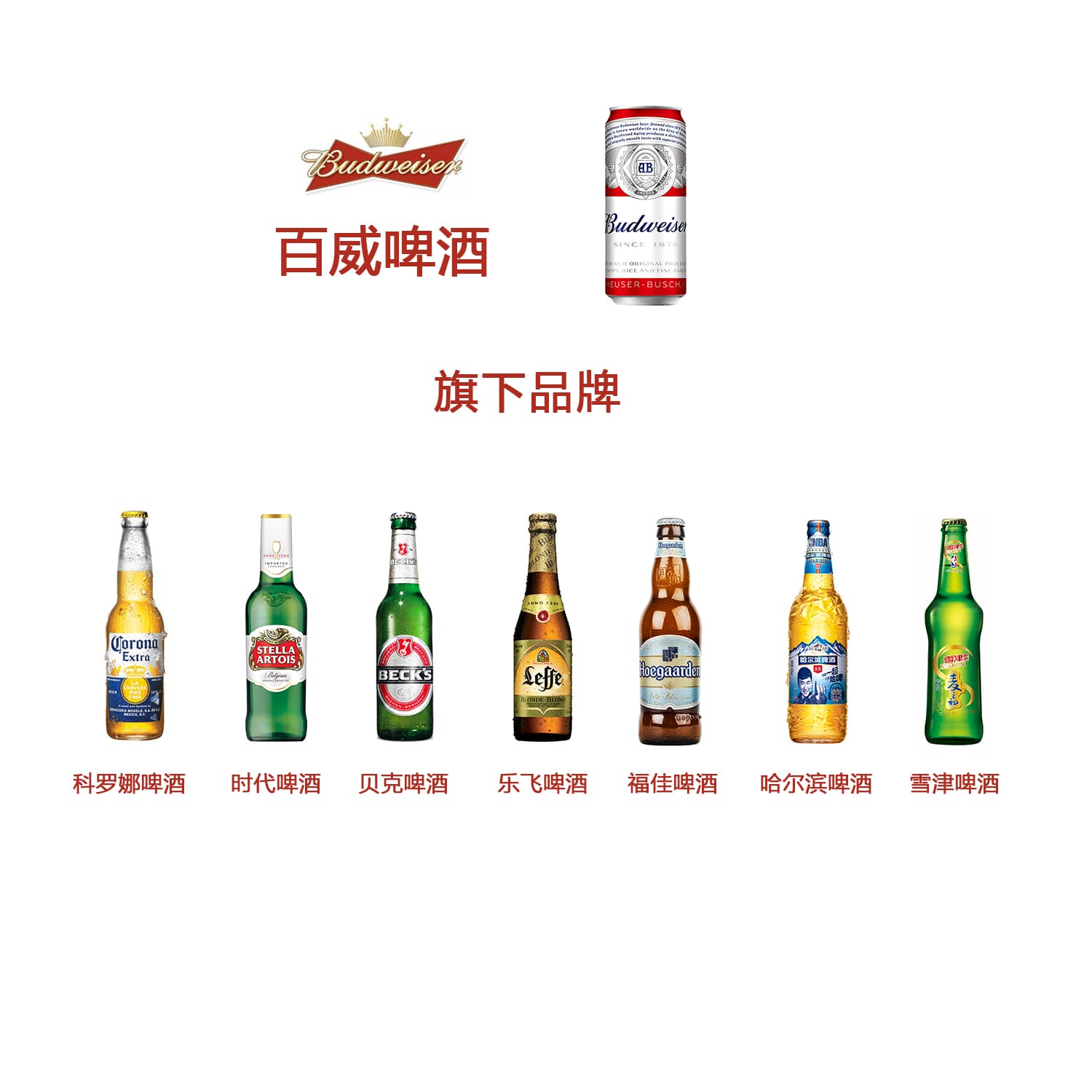 你喝过的啤酒也许是百威啤酒 - 爱酒帝